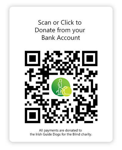 Fire Open Payments – New User Interface Guide