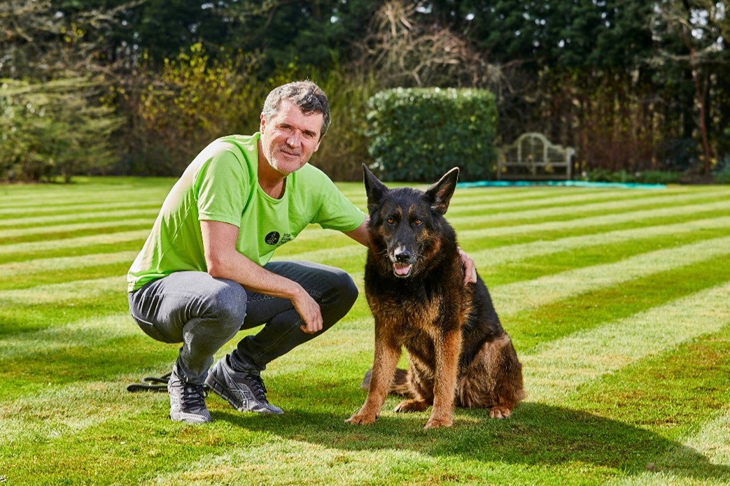 Irish Guide Dog Day – Using Open Banking Payments to assist fundraising